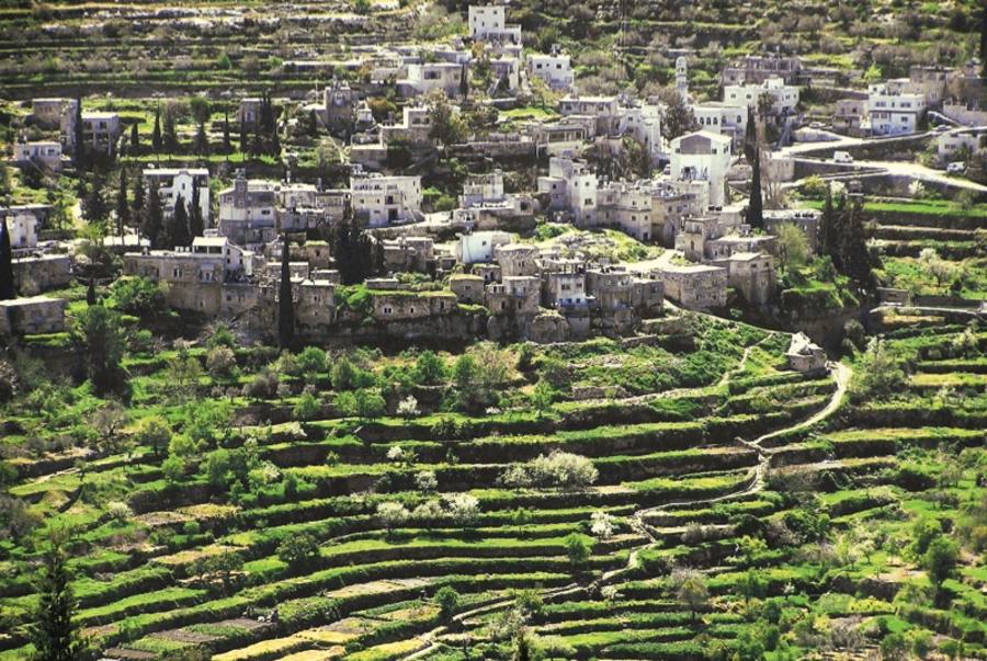 Battir-Land-of-Olives-and-Vines